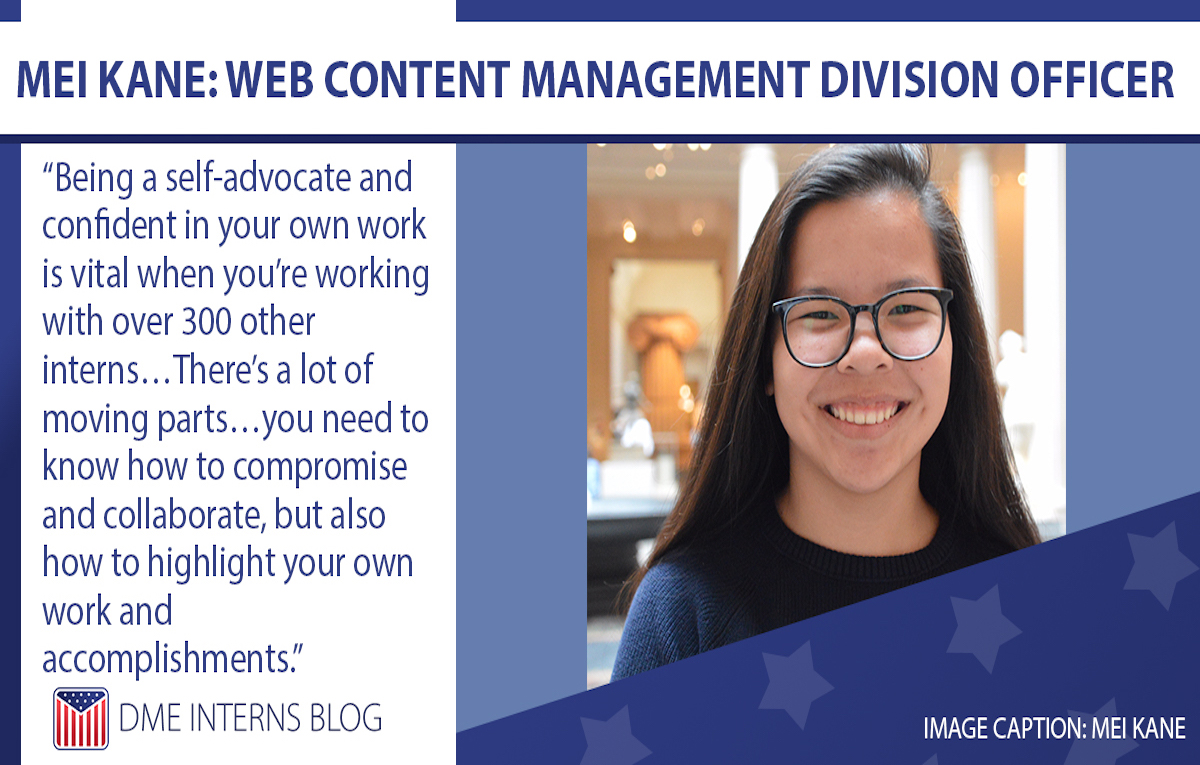 What It's Like: Web Content Management DO - VSFS DME Internship